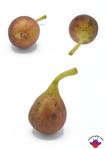 LSU Red – TinkerBugFigs