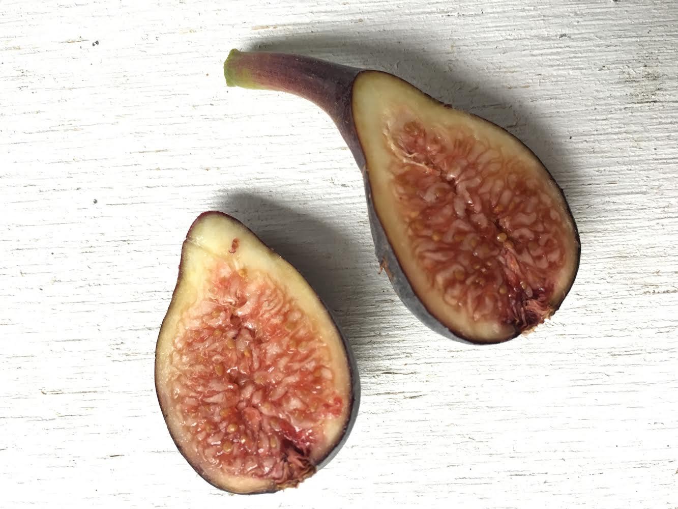 Petite Negra – TinkerBugFigs